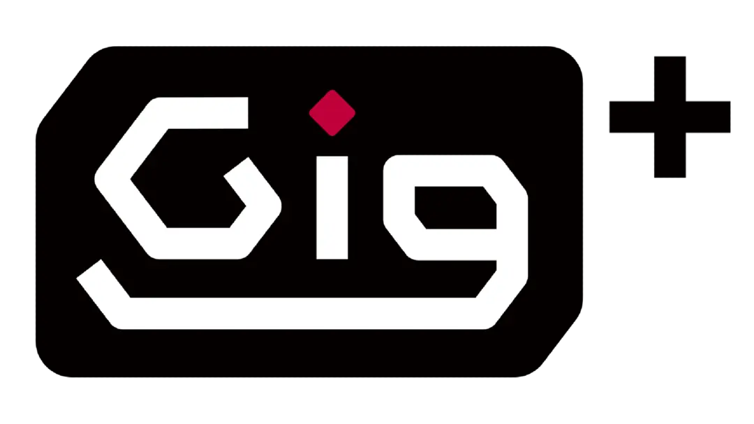 긱플러스(gigplus) - gigplus