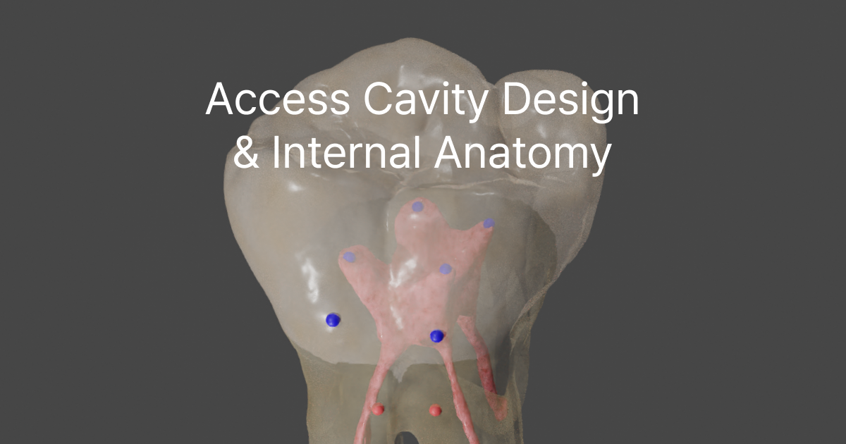 Access Cavity Design & Internal Anatomy - Dental Master Series