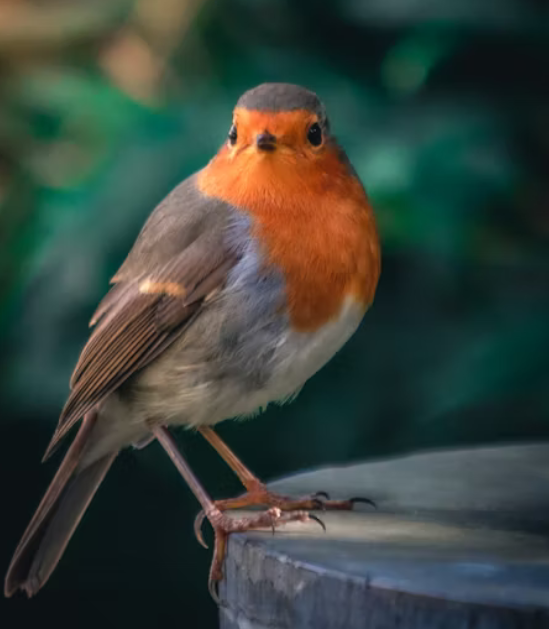 1. 에러(블로그 4번 진행 중 발생후 해결) - code-sudal