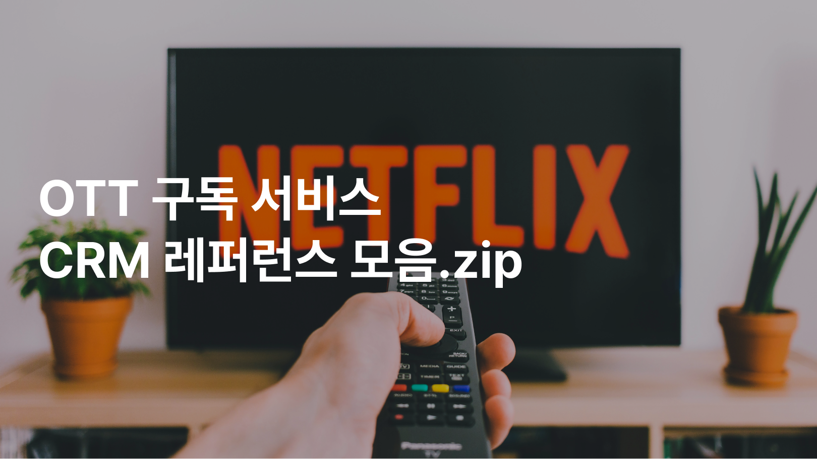 OTT 구독 서비스 CRM 레퍼런스 모음.zip - 에픽 CRM 인사이트