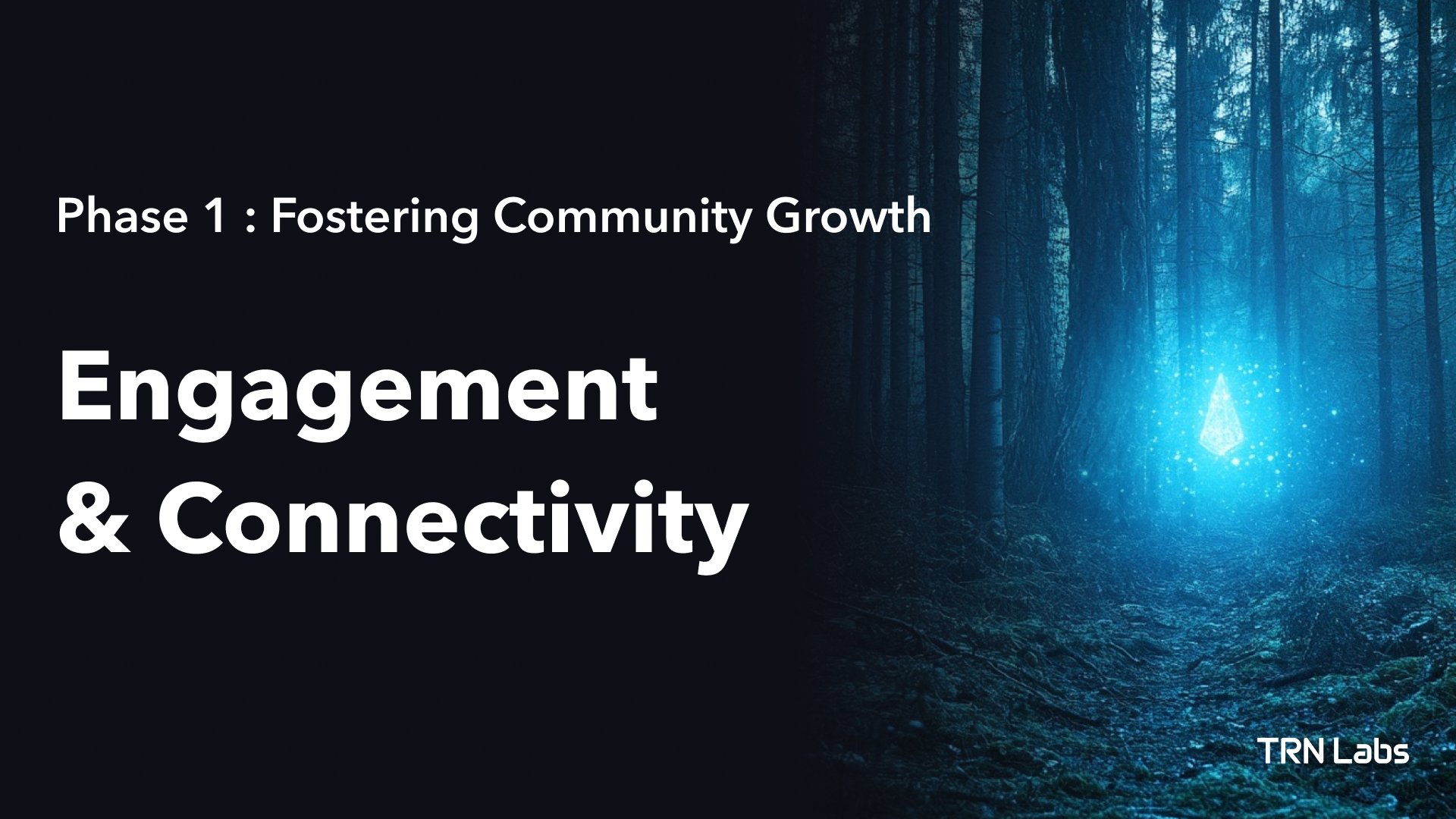 Vision Roadmap | Phase 1: Fostering Community Growth - Engagement ...