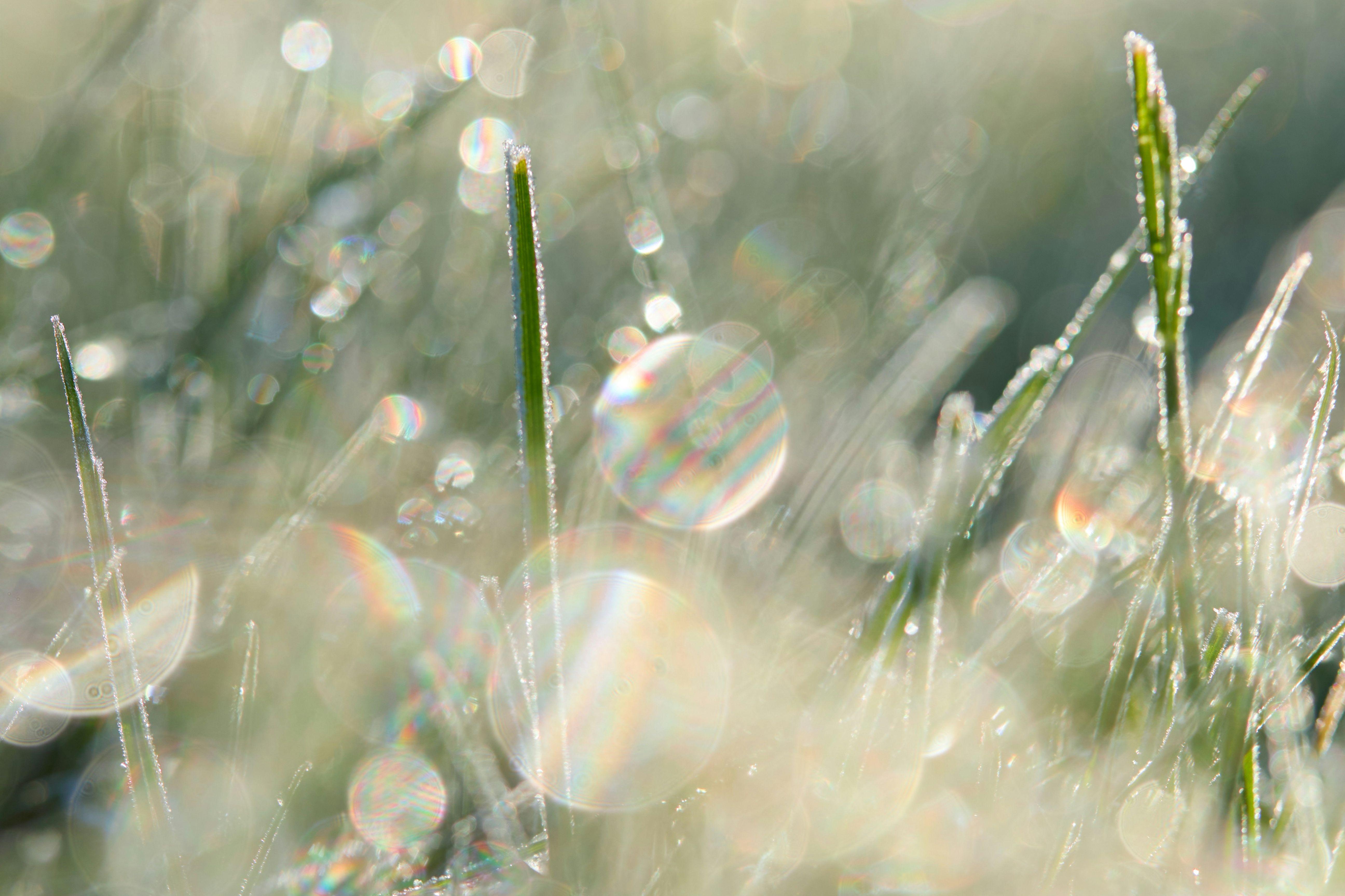 성적 촬영물 범죄 피해자 가이드: 심리 전문가와 함께하는 법적·심리 통합 지원 - 법무법인 슈가스퀘어 공식 블로그