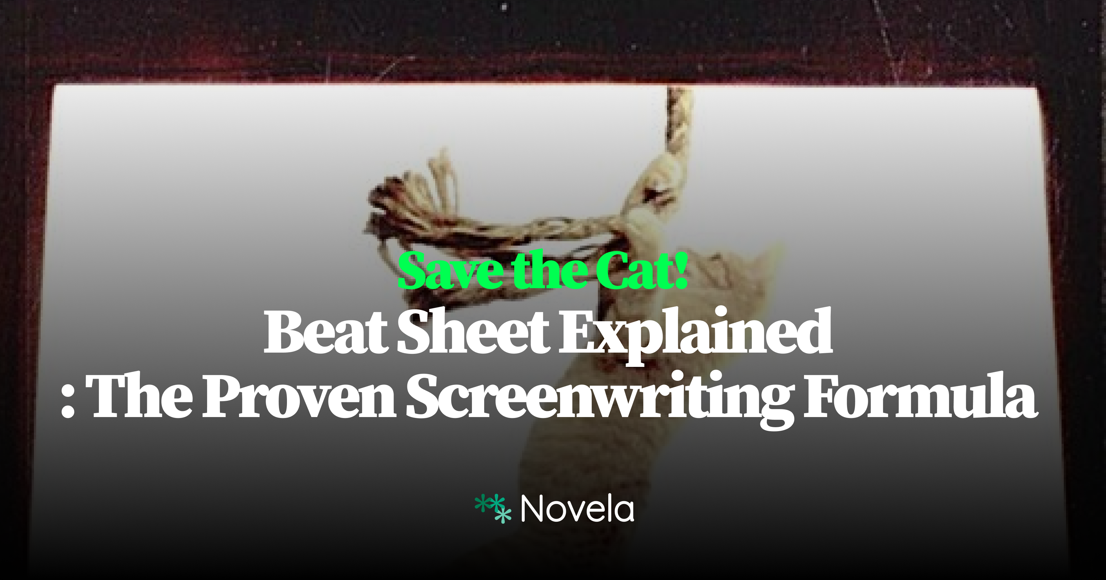 Save the Cat! Beat Sheet Explained: The Proven Screenwriting Formula ...
